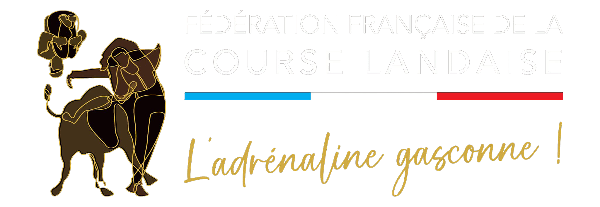 Accueil - Fédération Française de Course Landaise