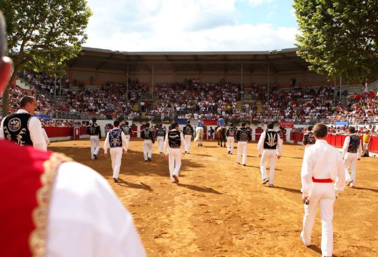 La Course Landaise - Fédération Française de Course Landaise