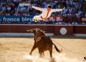 La Course Landaise - Fédération Française de Course Landaise