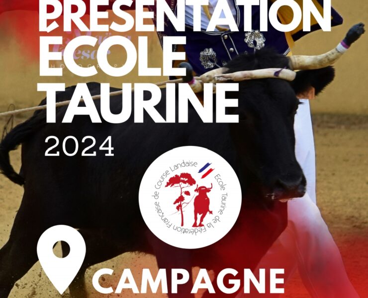 Accueil - Fédération Française de Course Landaise